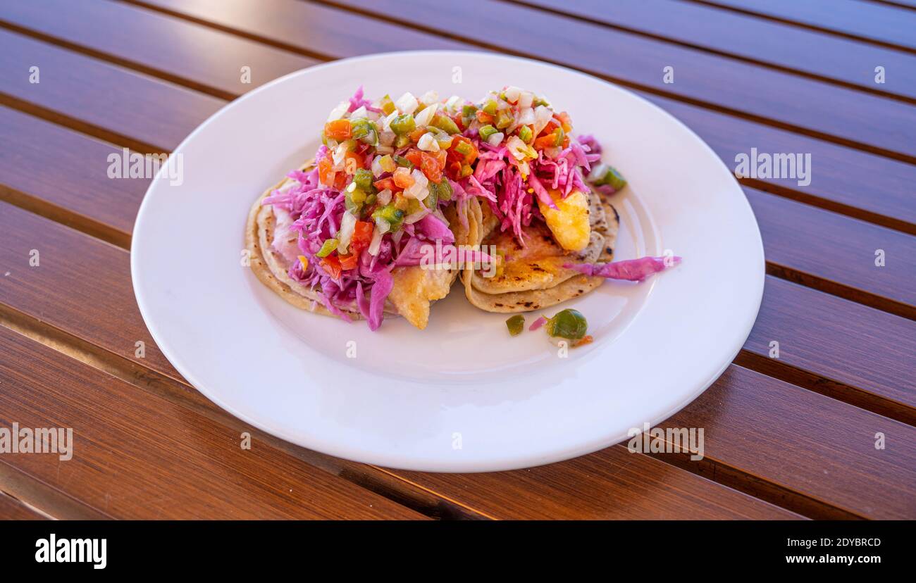 Red snapper fish caribbean hi-res stock photography and images - Alamy