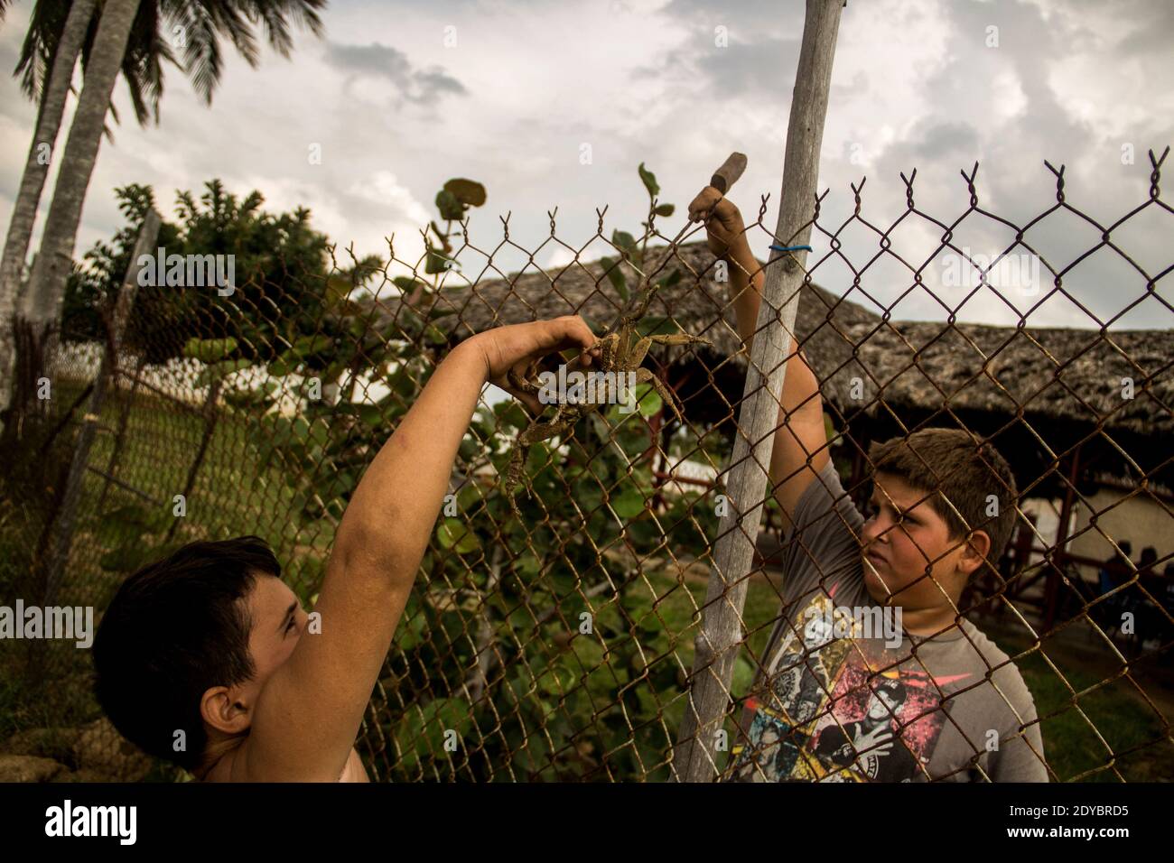 Cuba : The port of hope. Reportage on the small village of Puerto ...