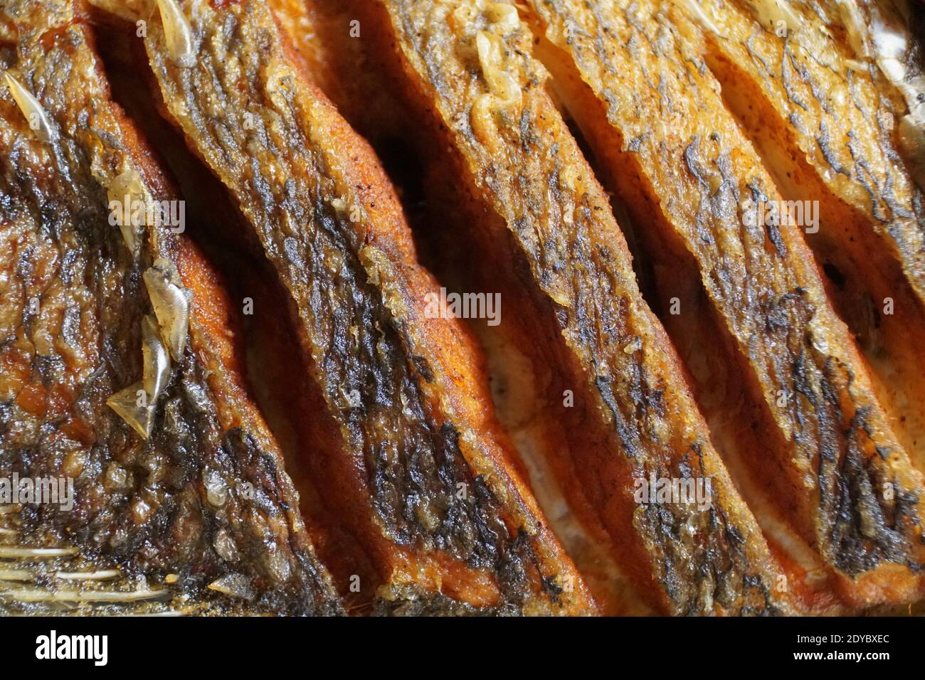 Tilapia fish head hi-res stock photography and images - Alamy