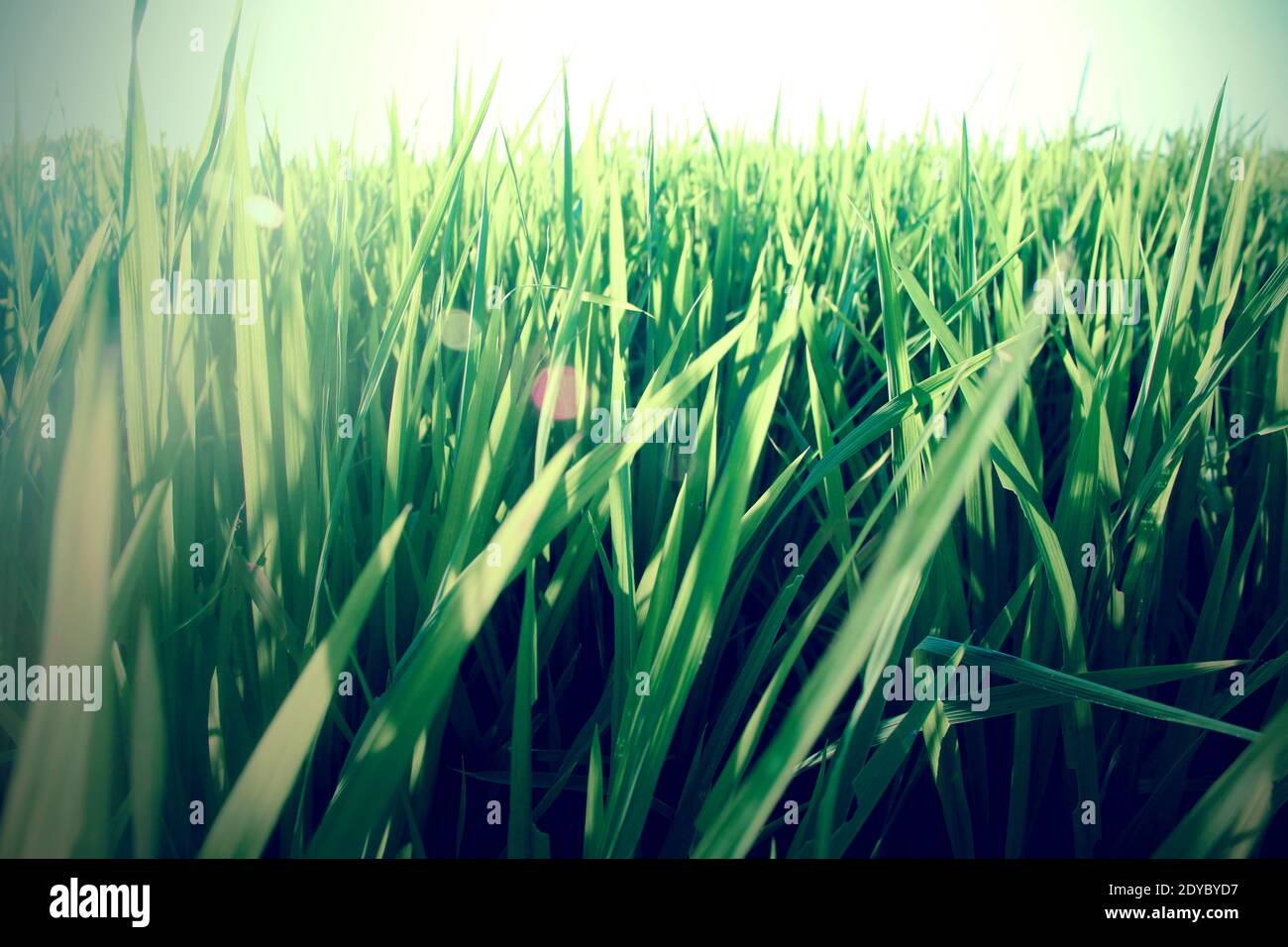 Cool atmosphere hi-res stock photography and images - Alamy