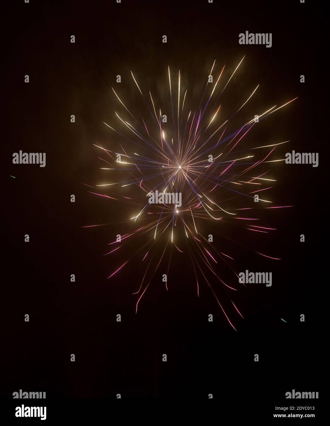 beautiful colorful firework at night Stock Photo - Alamy