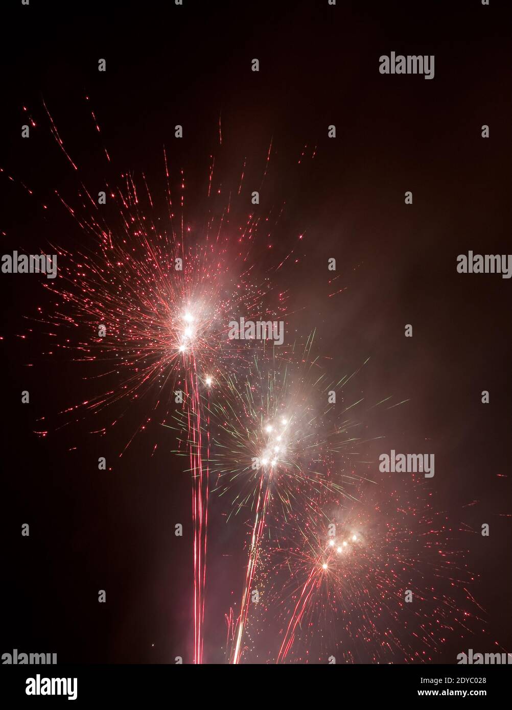 beautiful colorful firework at night Stock Photo - Alamy