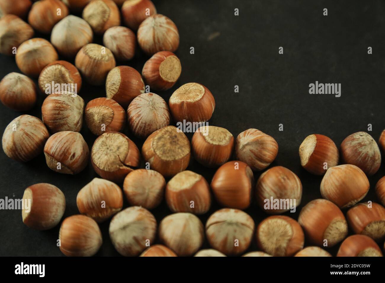 Hazelnuts on wooden backdrop. Hazelnut background. High quality photo ...