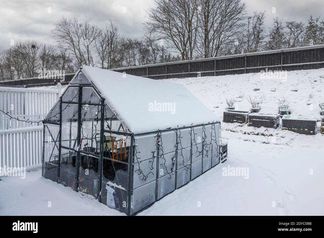 Gorgeous winter view of exterior of a private small garden Landscape ...