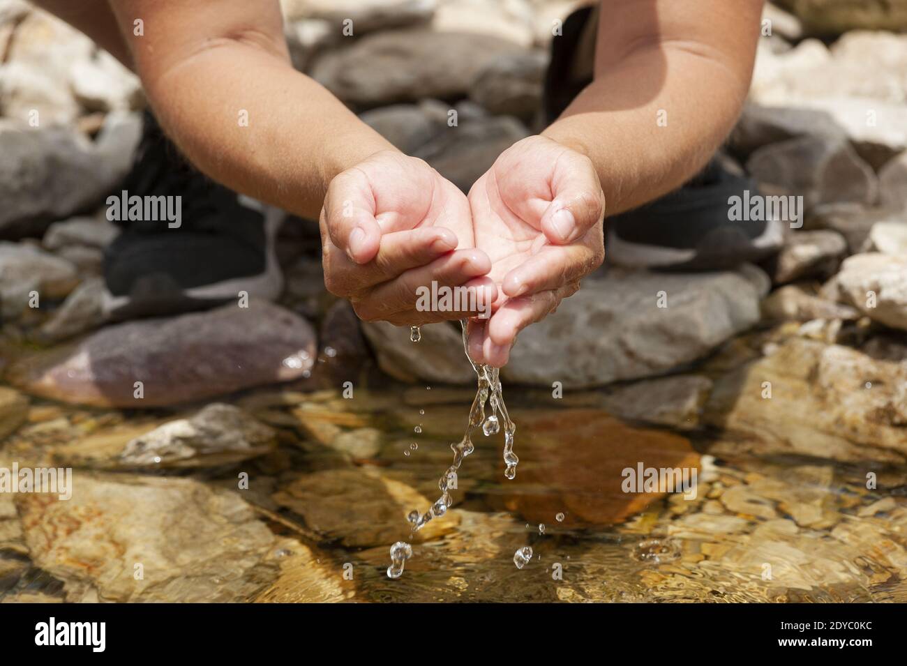 A closeup shot of human hands picking up water from a lake Stock Photo ...