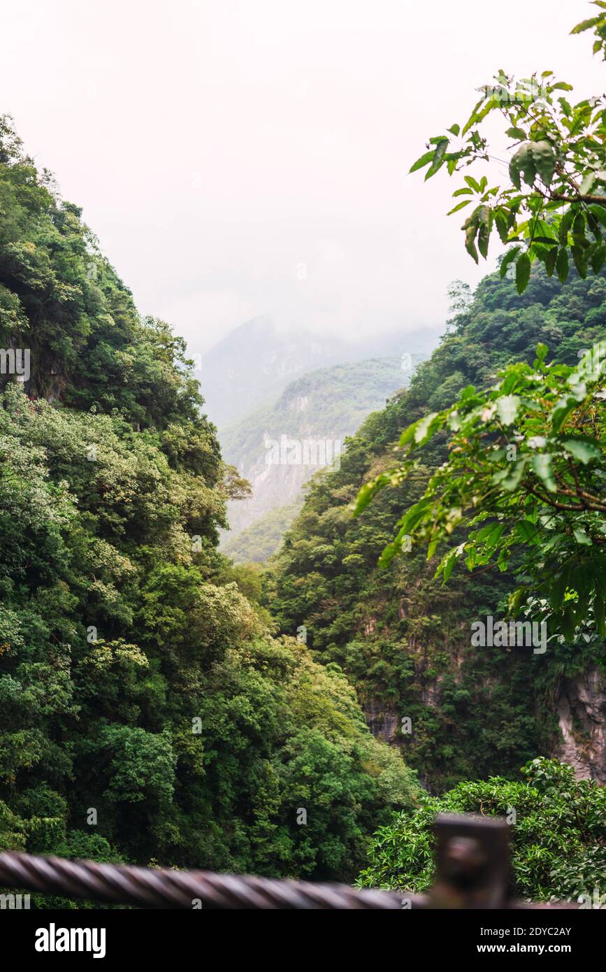 Mist with the sky scenic landscapes tour trees hi-res stock photography ...