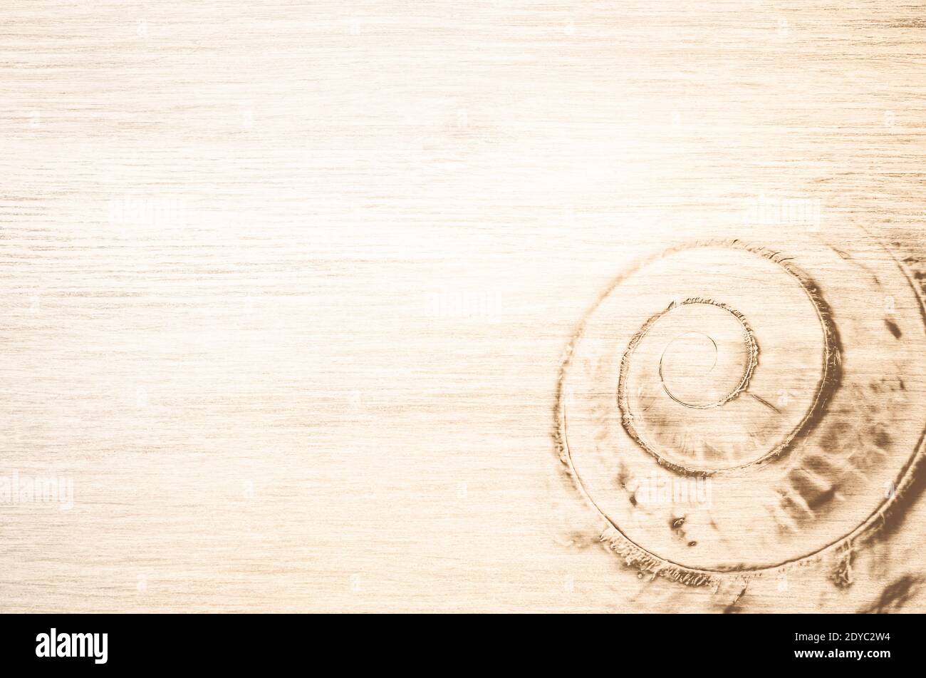 A top view of a wooden surface with a gastropod shell pattern on it ...