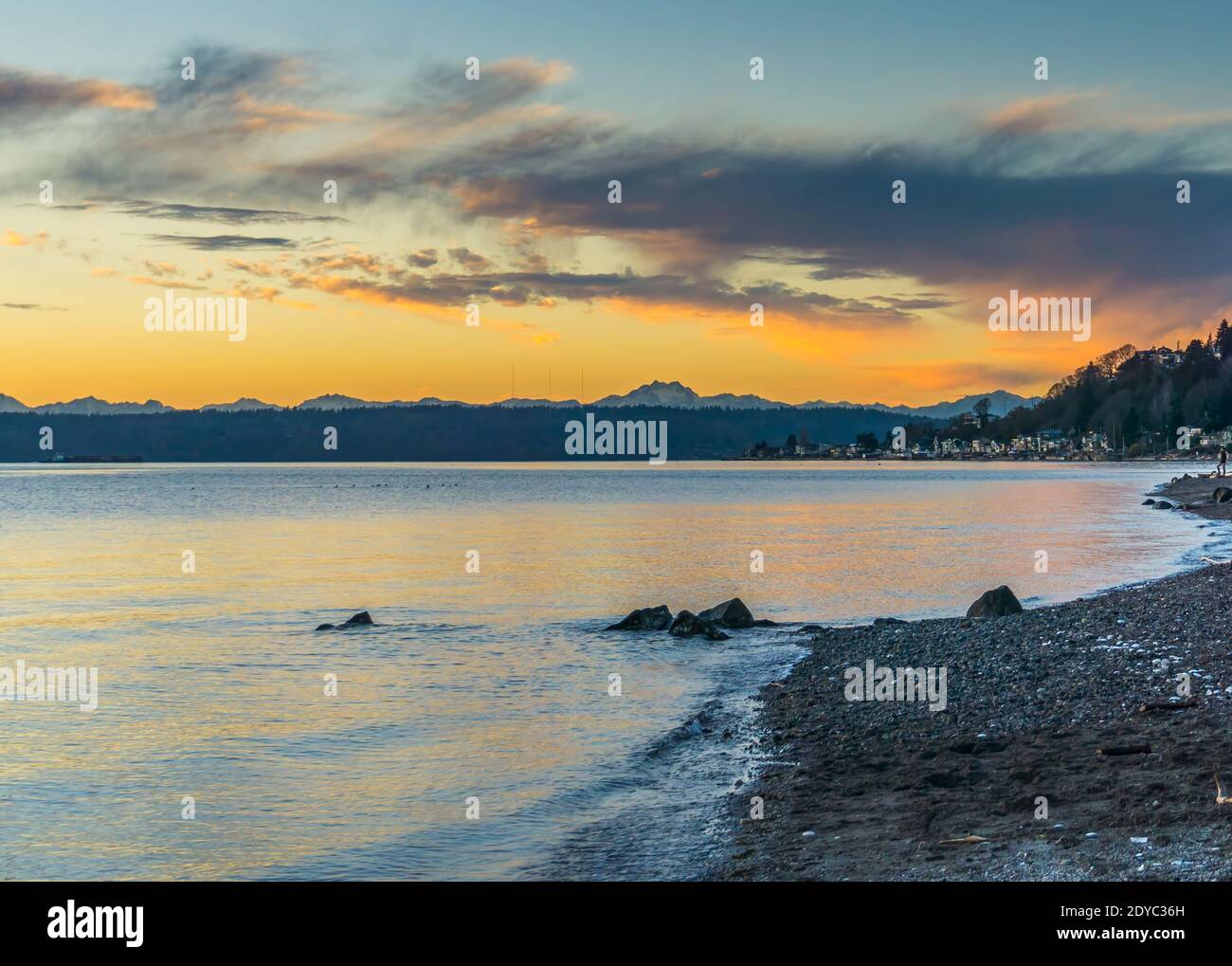 Three tree hi-res stock photography and images - Alamy