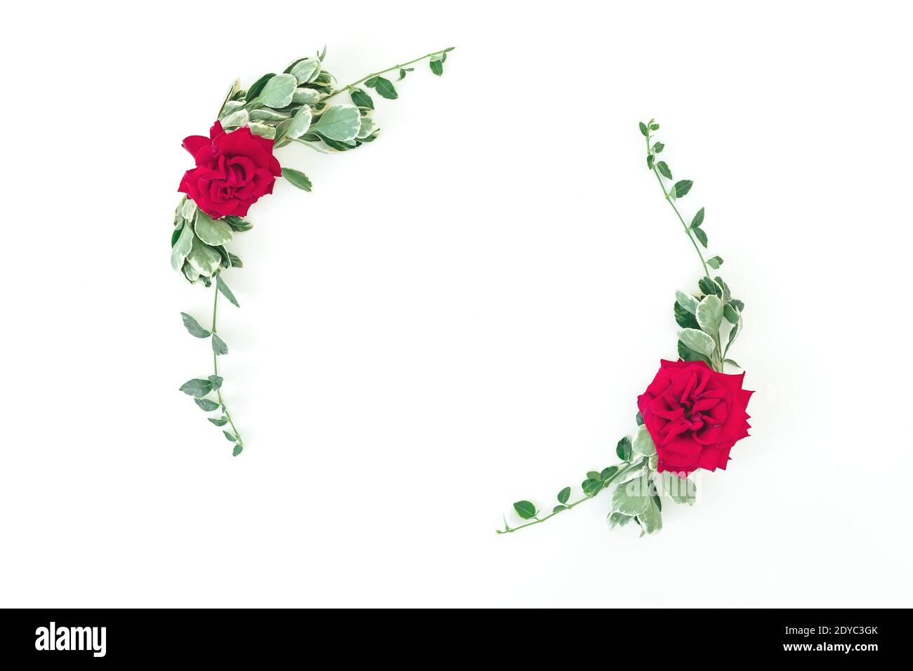 Round frame made of red roses and leaves on white background. Flat lay ...