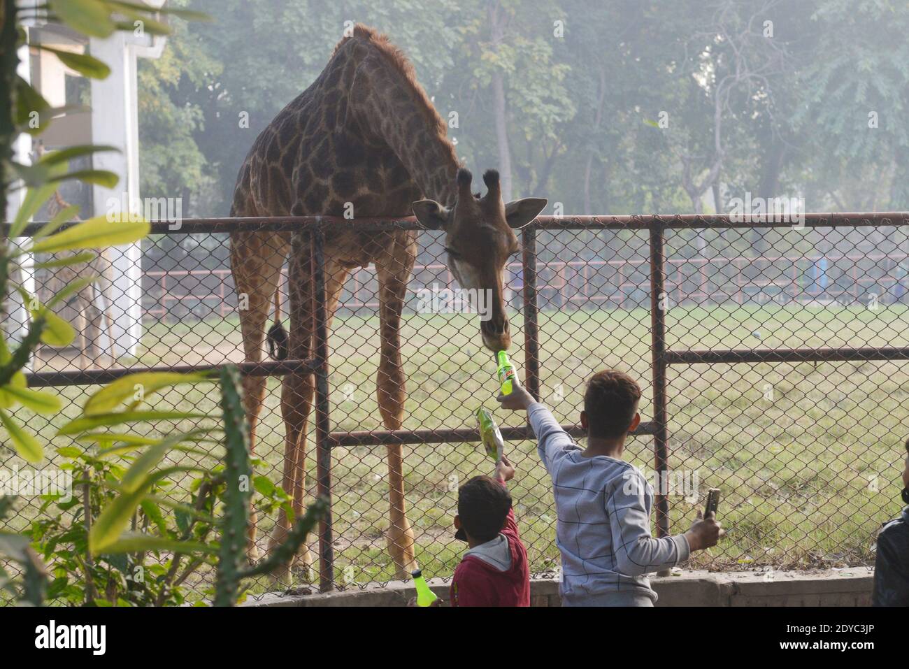 Pakistani large number of Christen people are enjoying at Lahore Zoo ...