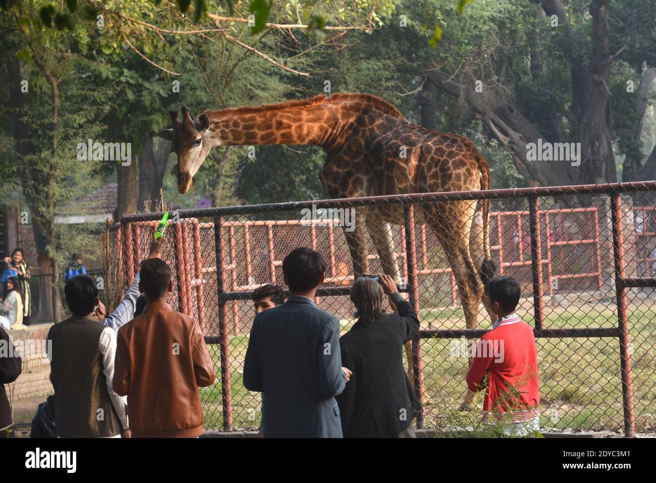 Pakistani large number of Christen people are enjoying at Lahore Zoo ...