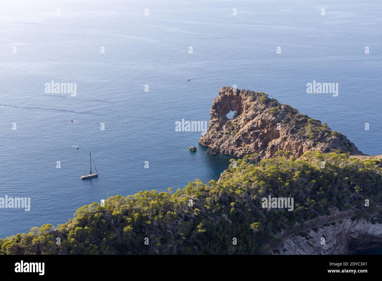 An aerial shot of th sea and beautiful cliffs covered with trees in ...