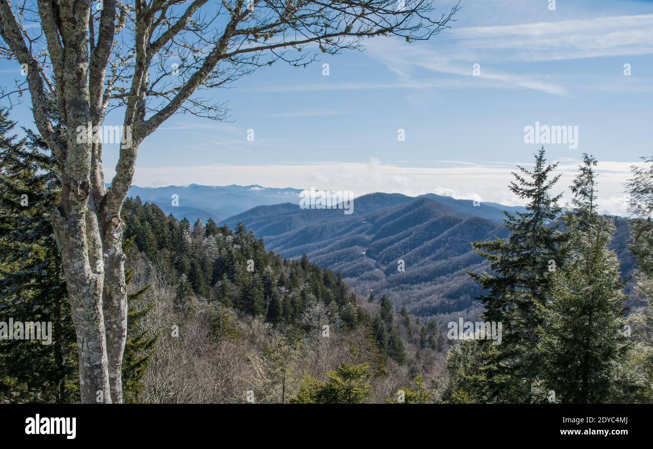 A view of the Smoky Mountains in January Stock Photo - Alamy