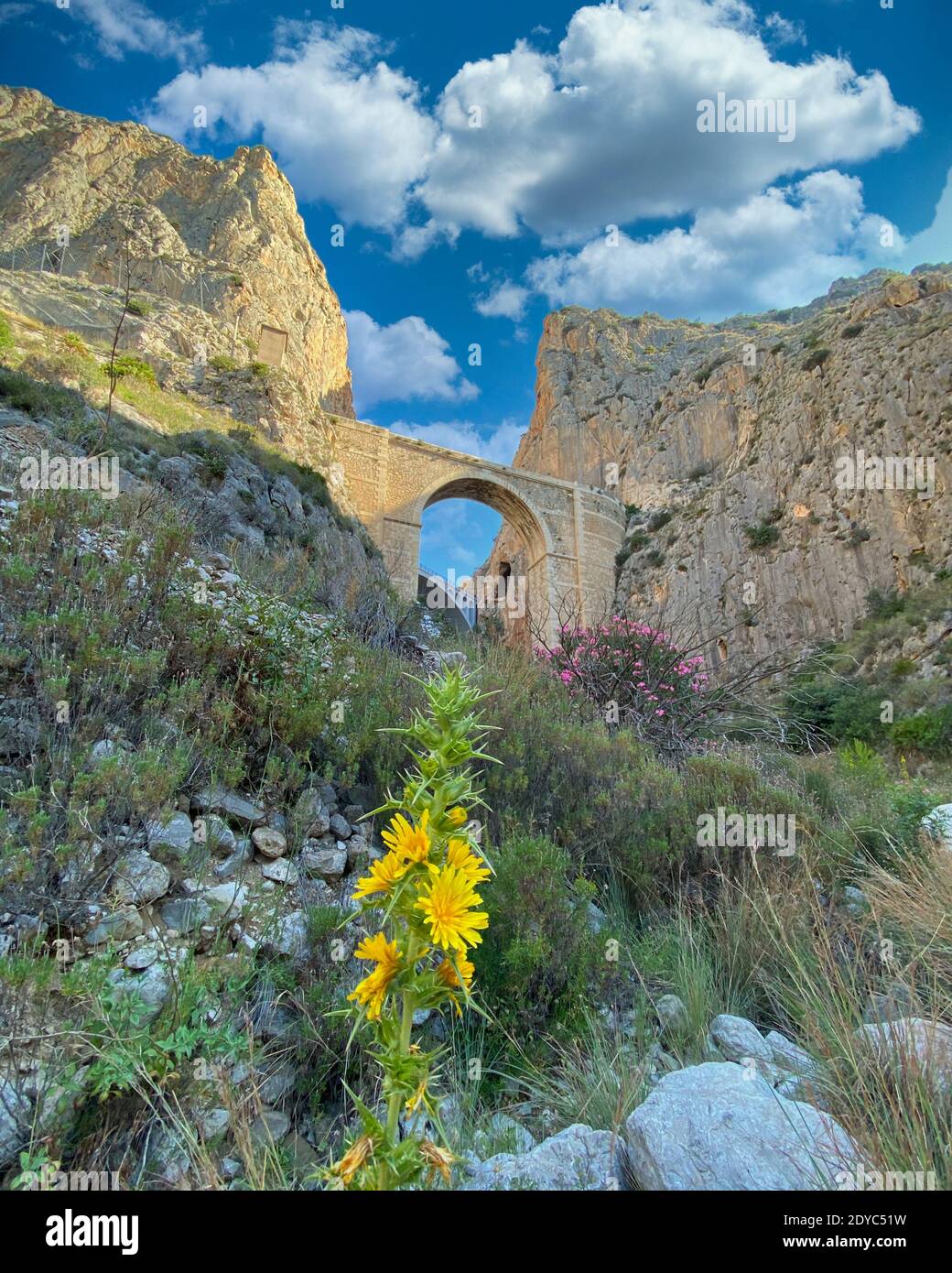 ancient roman bridge joining a canyon in spain Stock Photo - Alamy