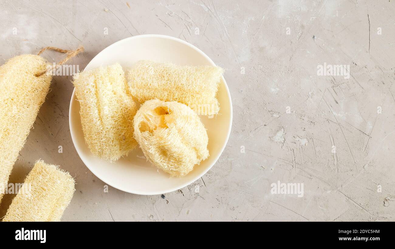 Luffa sponge for zero waste dish washing or bath Stock Photo - Alamy