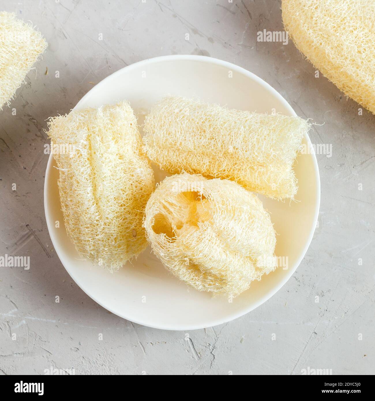 Luffa sponge for zero waste dish washing or bath Stock Photo - Alamy