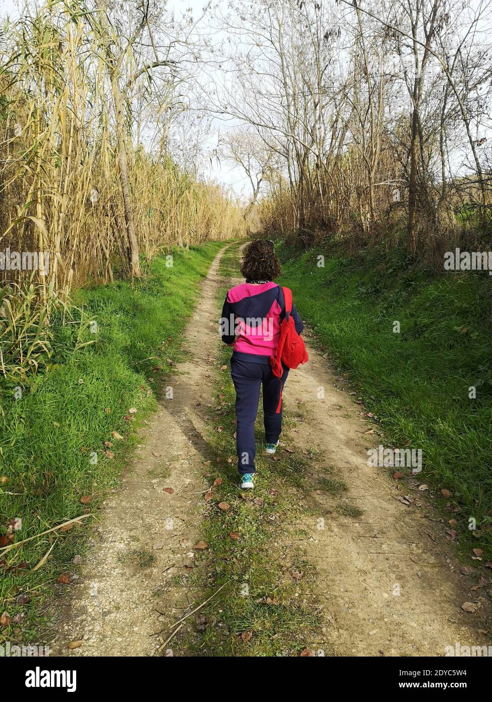 A vertical shot of a female walking in a dforest Stock Photo - Alamy