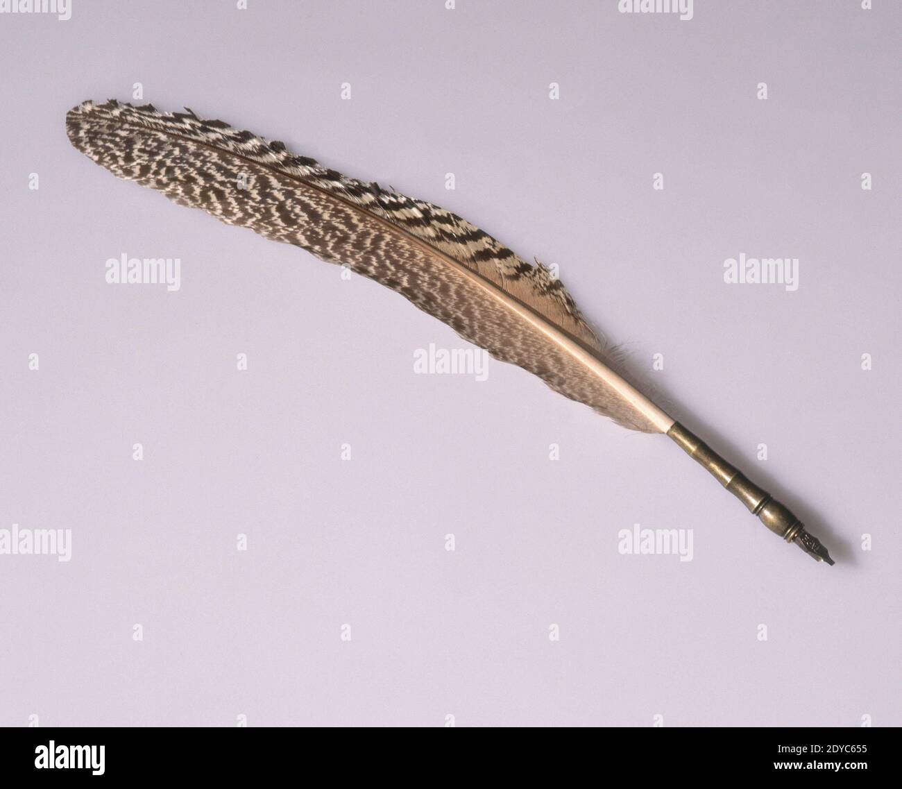 Pluma collection hi-res stock photography and images - Alamy