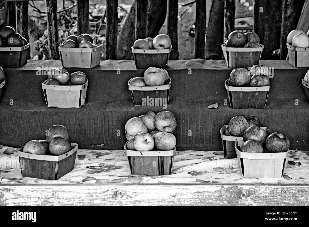 Cinnamon apple Black and White Stock Photos & Images - Alamy