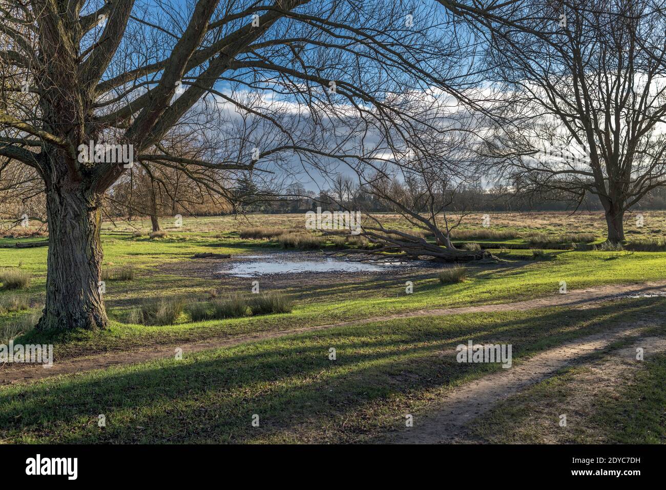 Brisk day hi-res stock photography and images - Alamy