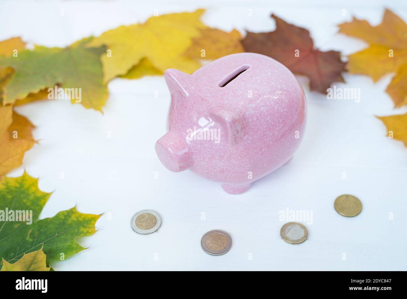 Coin and piggy bank near fall leaves on white background. Fall Savings ...