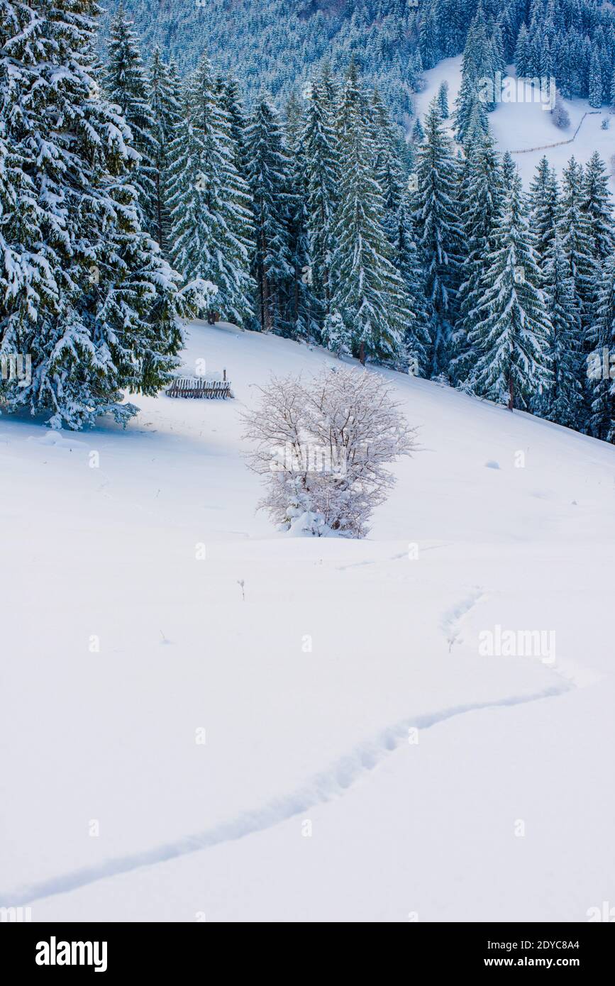 Mountains winter resort silence beautiful view fresh air Stock Photo ...