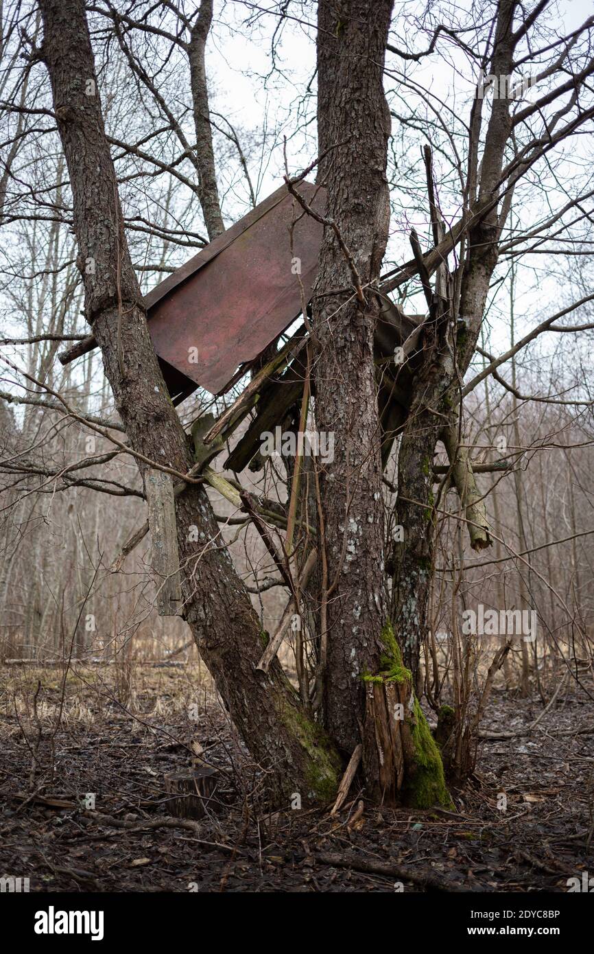 Old and ruined tree hut falling apart in pieces Stock Photo - Alamy