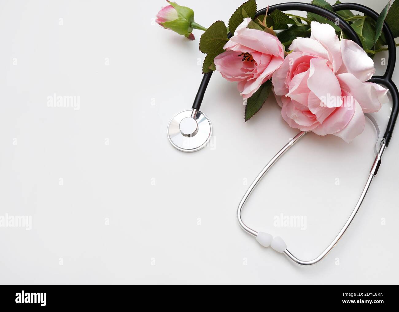 stethoscope and pink roses on white background. Top view with copy ...