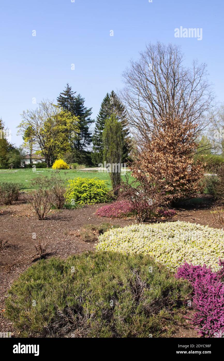 Spring landscape in botanical garden in beginning of May Stock Photo ...