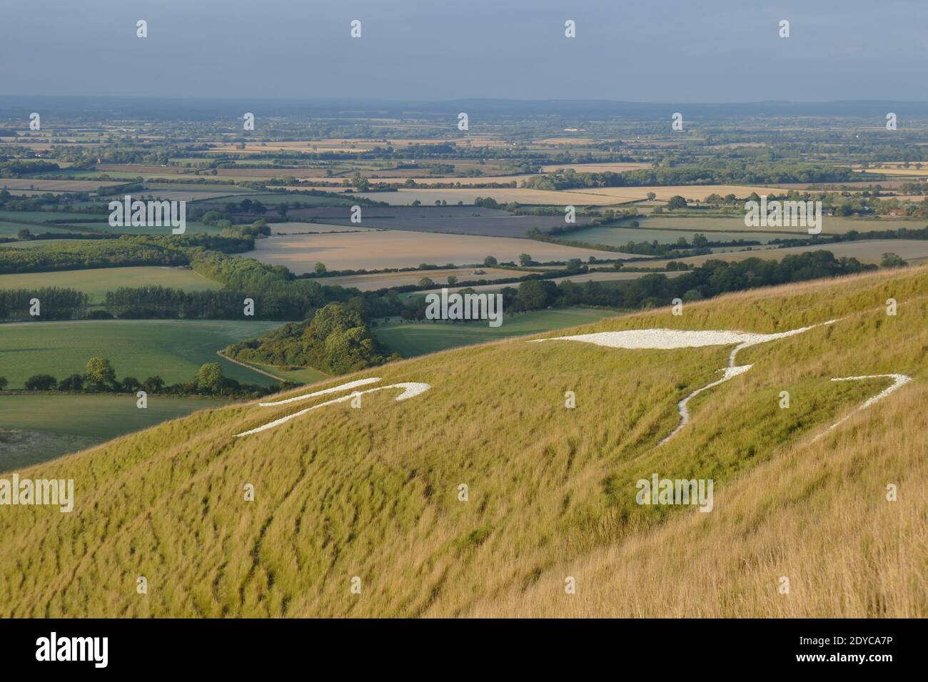English countryside from White Horse Hill Uffington with horse drawing ...