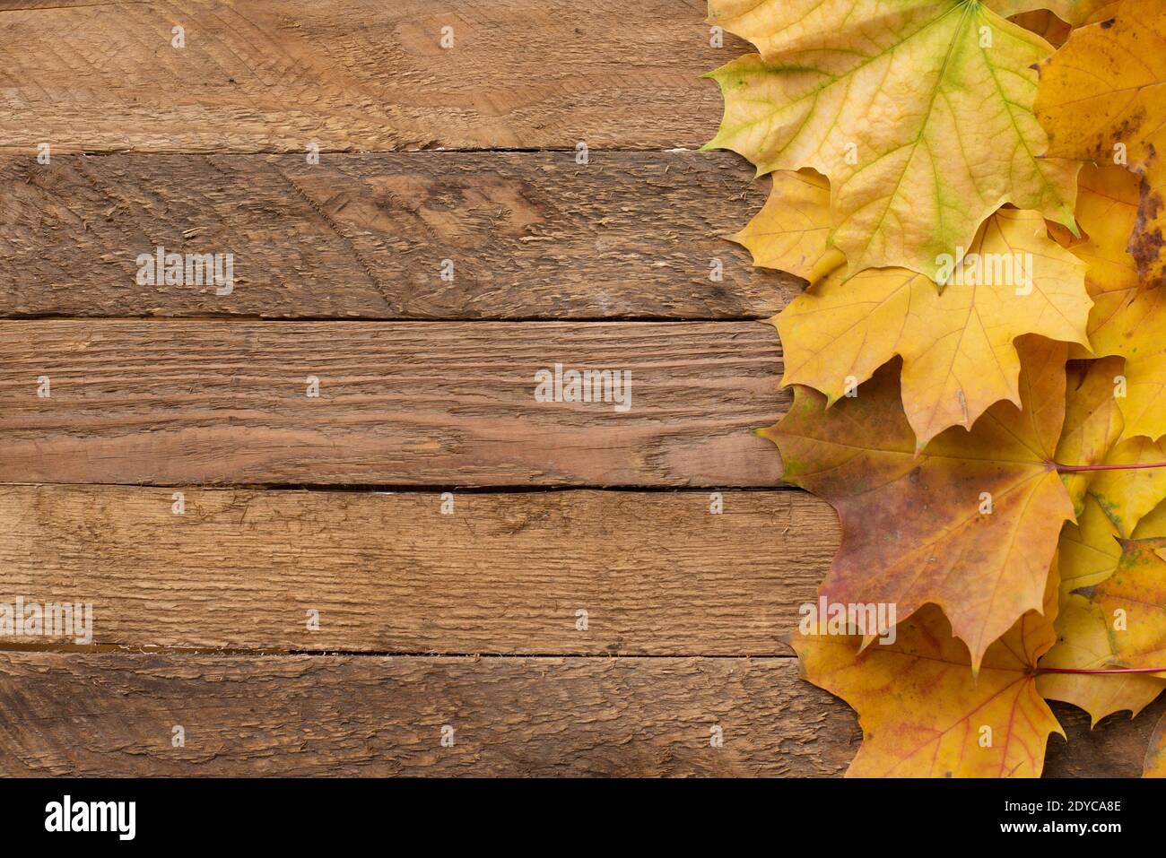 Autumn Leaves over wooden background.With copy space Stock Photo - Alamy