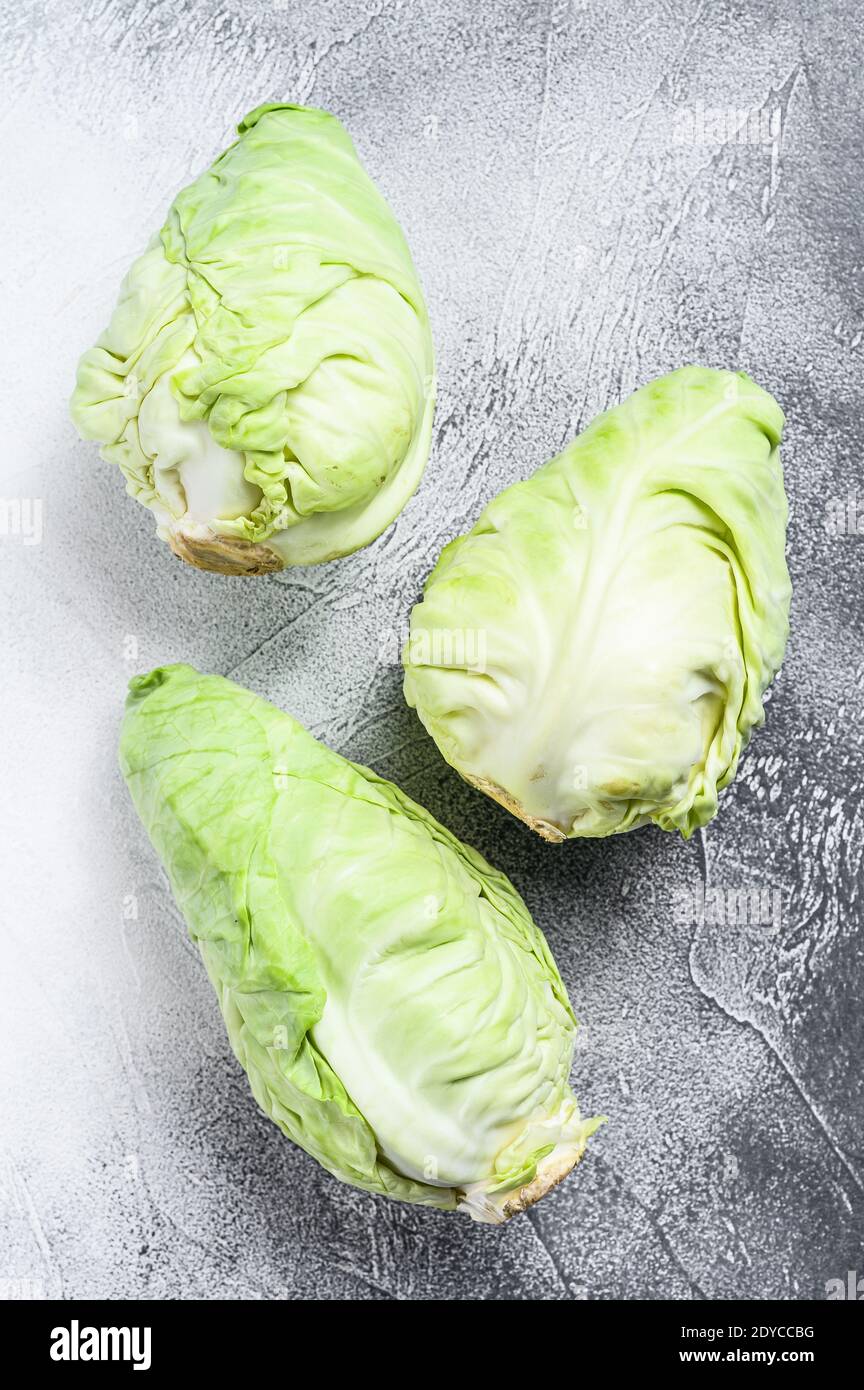 Raw Pointed white cabbage head. White background. Top view Stock Photo ...
