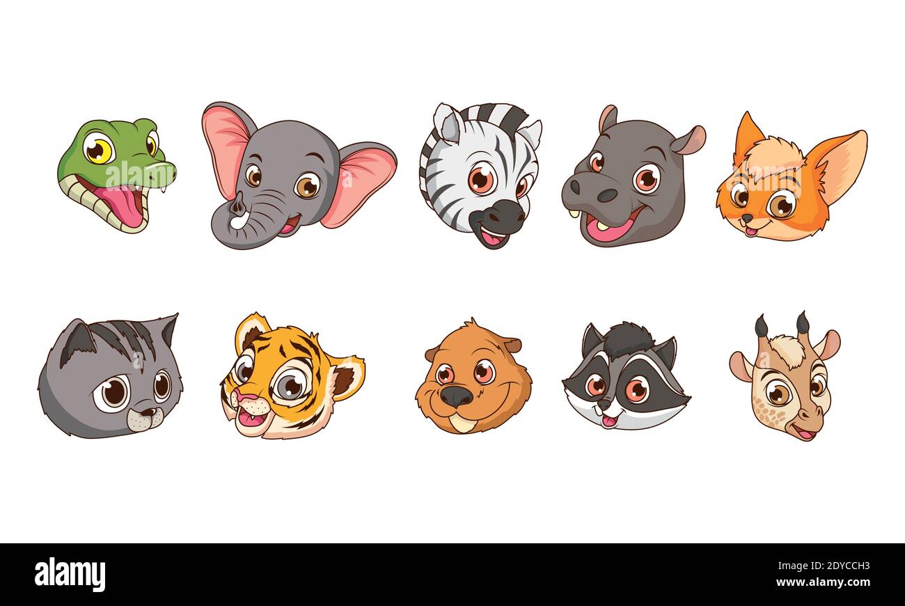 Funny Faces Animals High Resolution Stock Photography and Images - Alamy