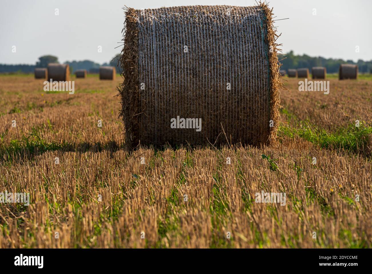 Rolled up roller hi-res stock photography and images - Alamy