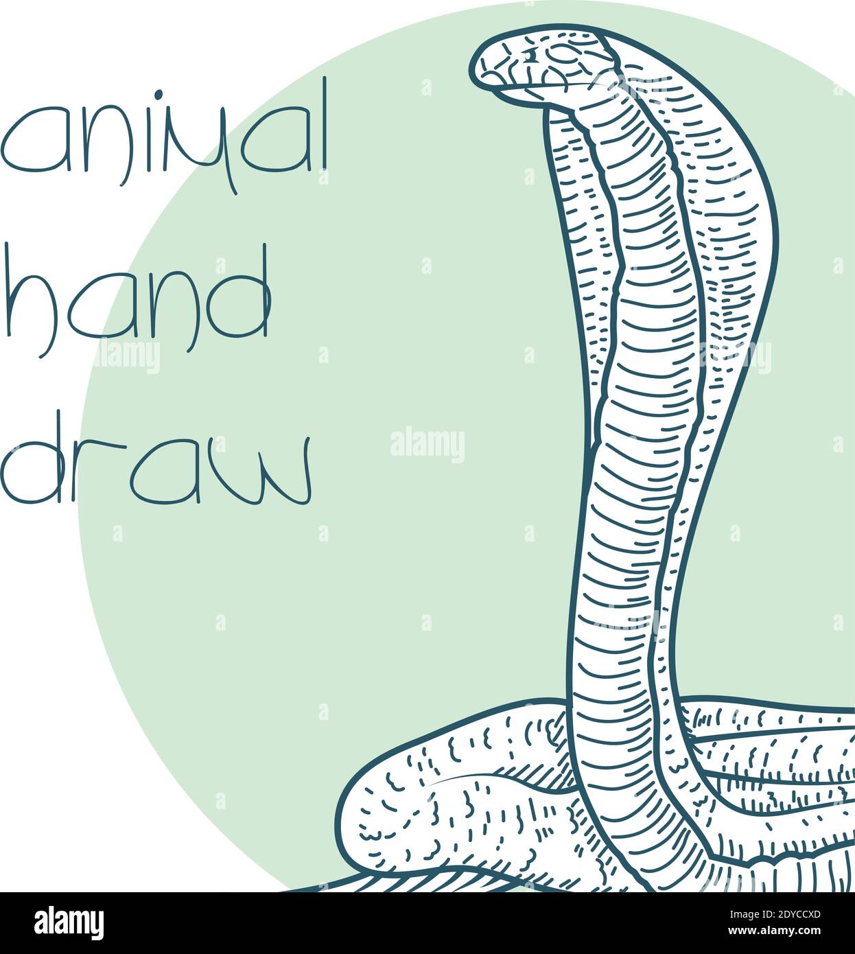 King Cobra realistic character drawn style icon and lettering vector ...