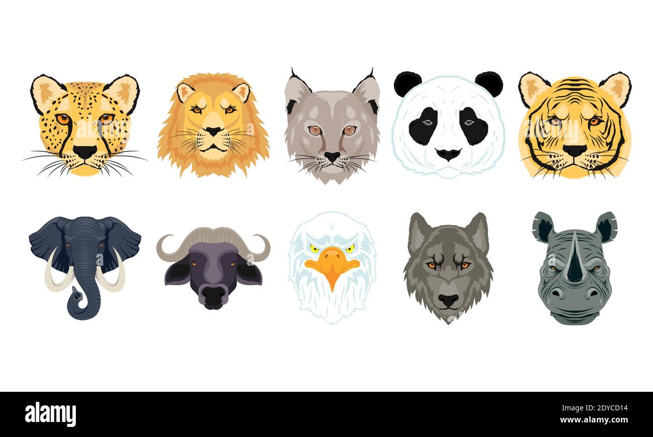 ten wild animals heads fauna characters vector illustration design ...