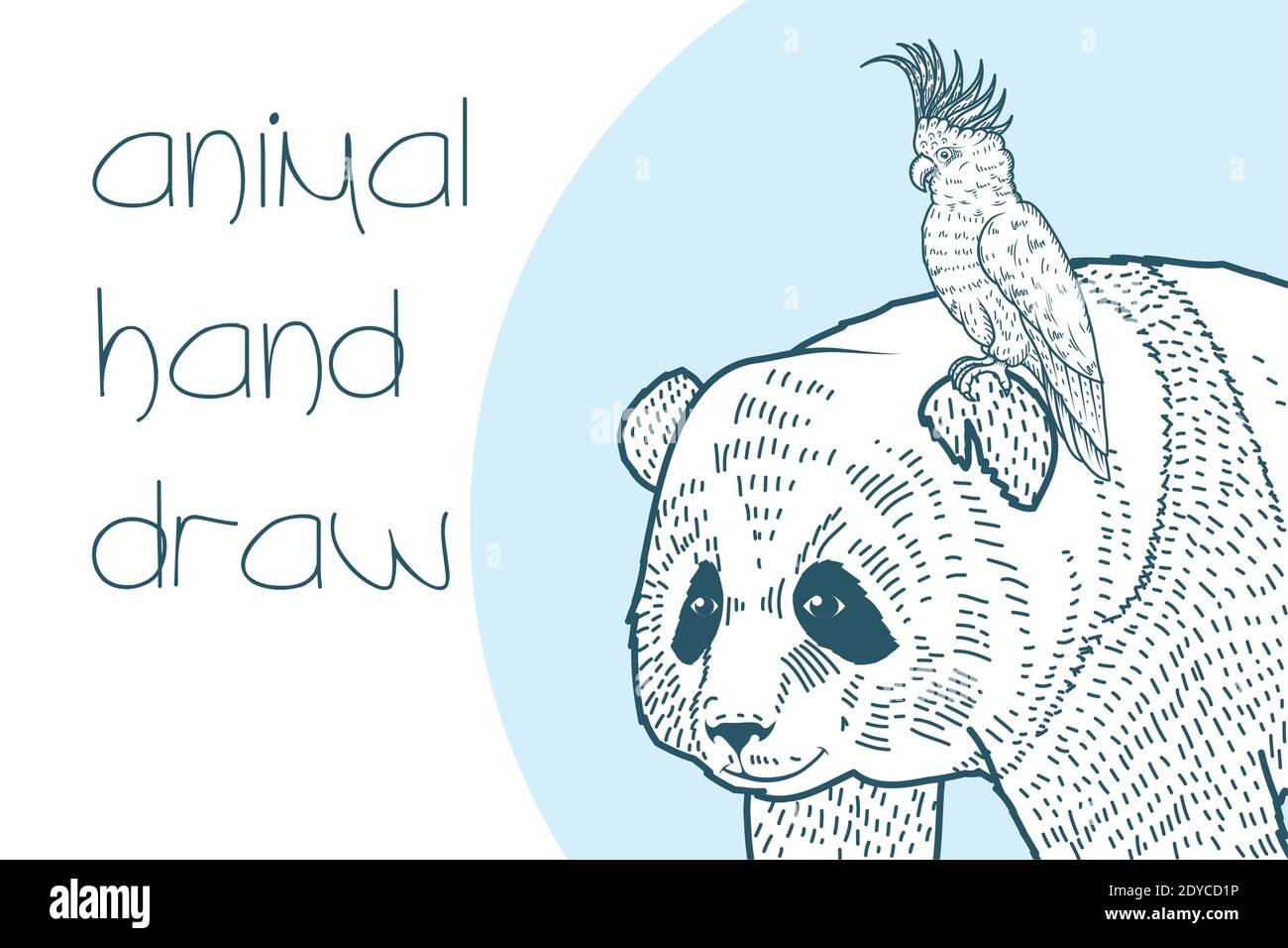 bear panda and parrot realistic character drawn style icon vector ...