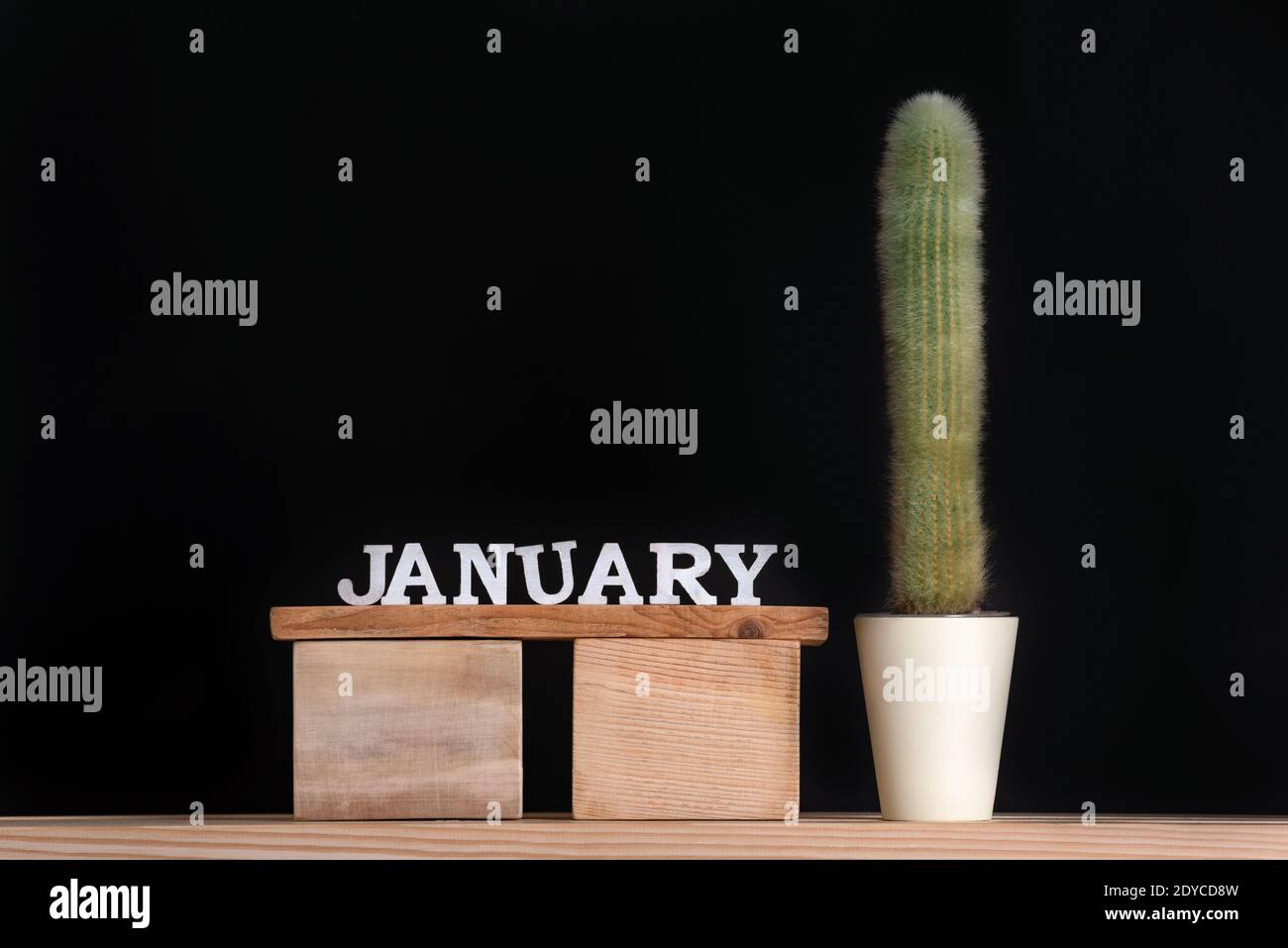 Wooden calendar of January and cactus on black background. Mock up ...