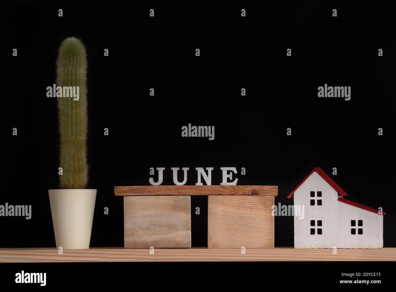 Wooden calendar of June, cactus and house model on black background ...