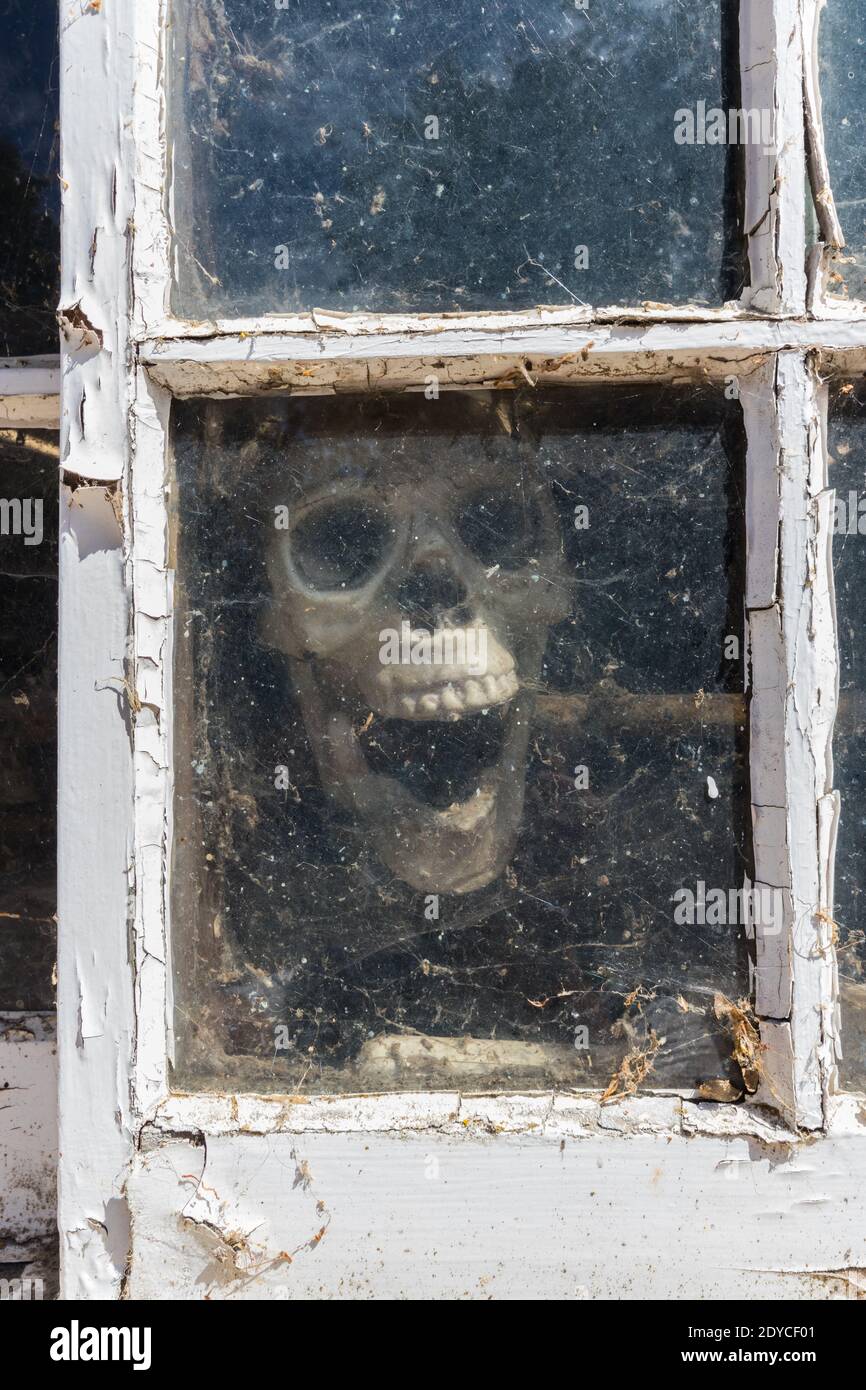 Skull looking through the window Stock Photo - Alamy