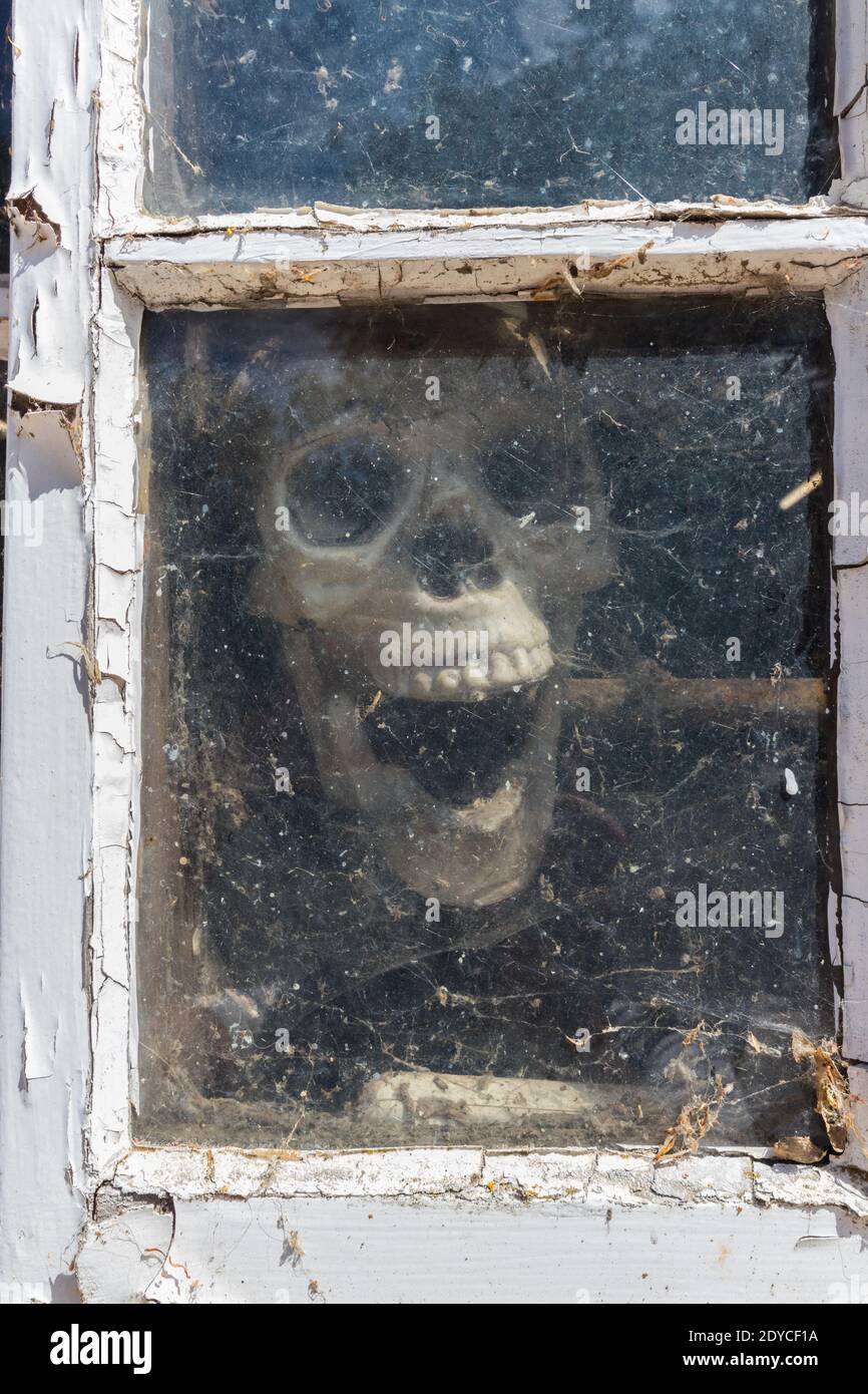 Skull looking through the window Stock Photo - Alamy