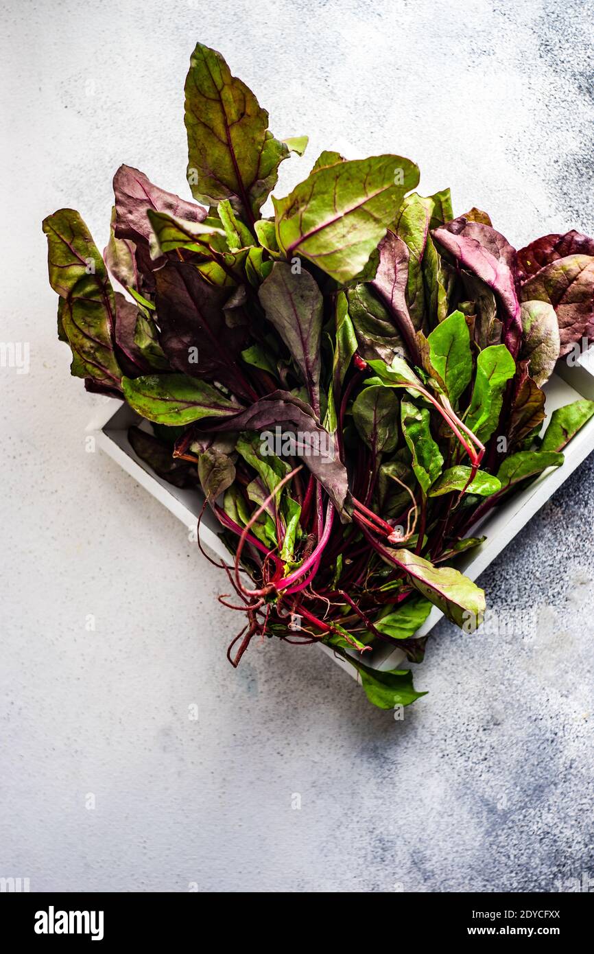 Fresh raw beetroot leaves as a healthy cooking concept on stone ...
