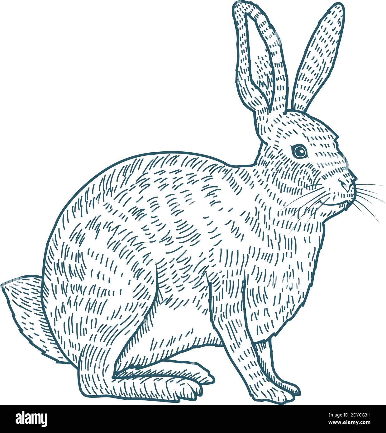 rabbit realistic character drawn style icon vector illustration design ...