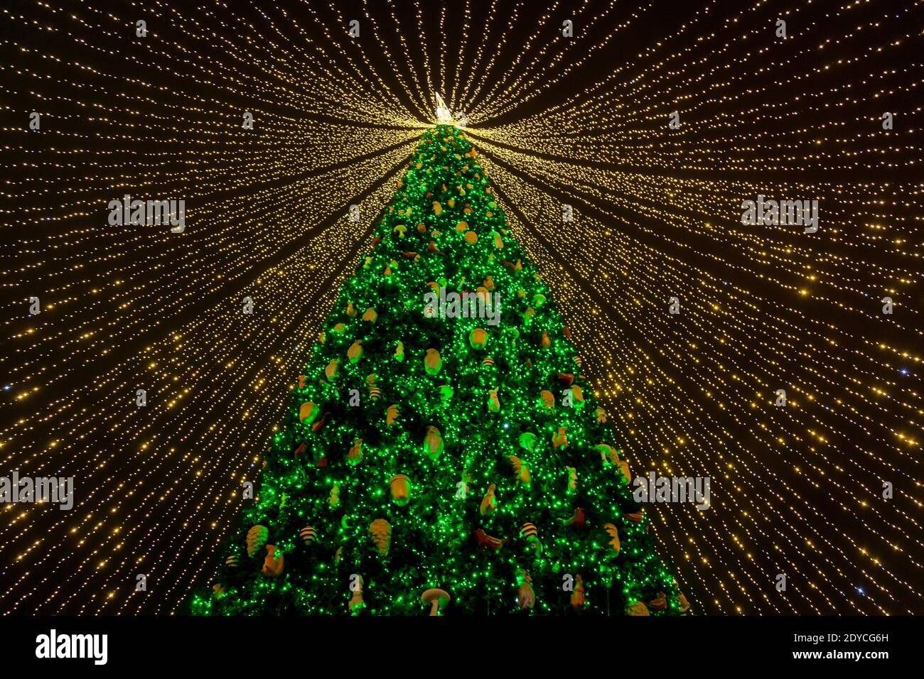 The main Christmas tree of Ukraine on Sophia Square in Kiev. Christmas ...