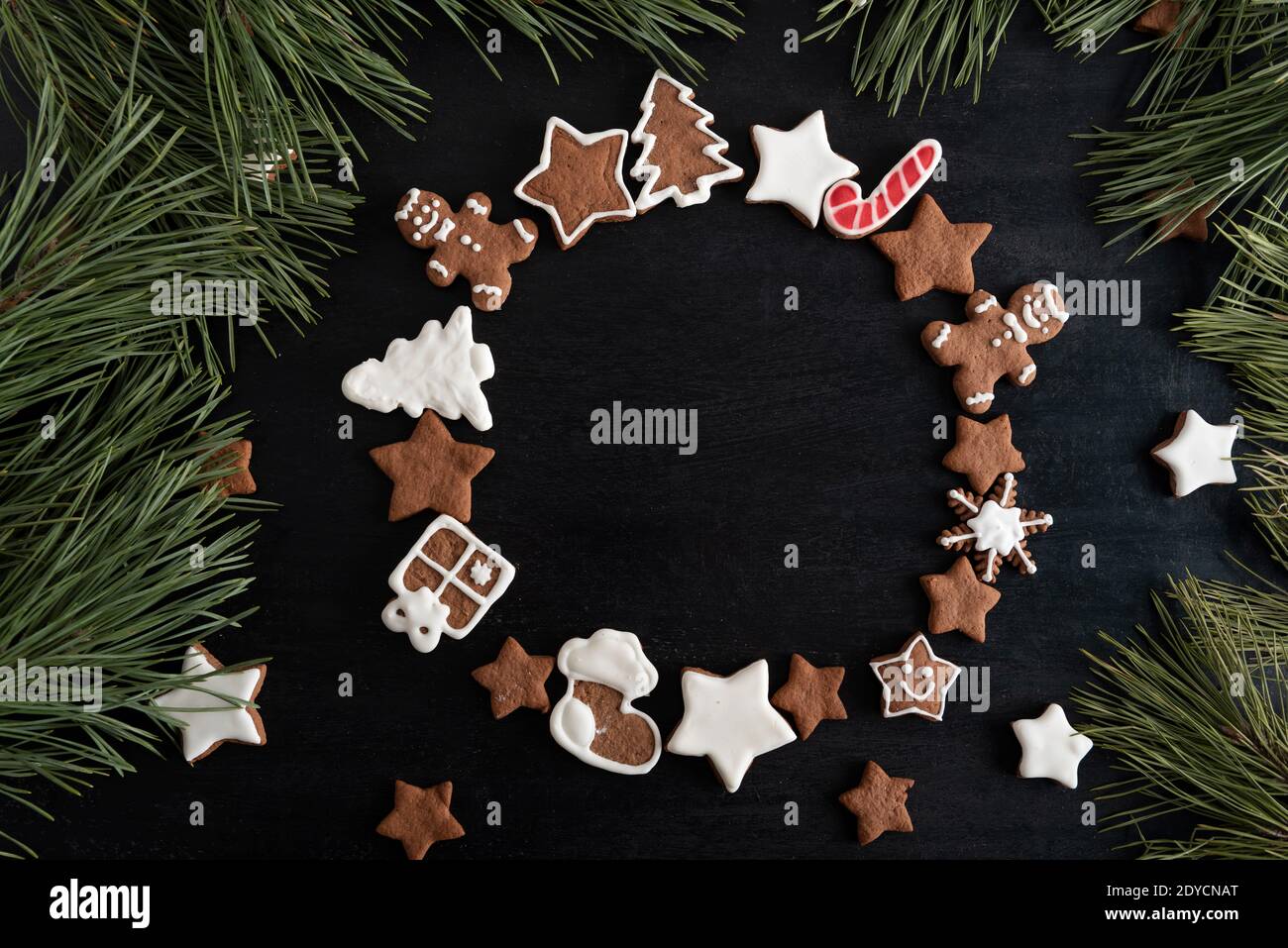 Ginger bread cookies in circle form on black background and spruce ...