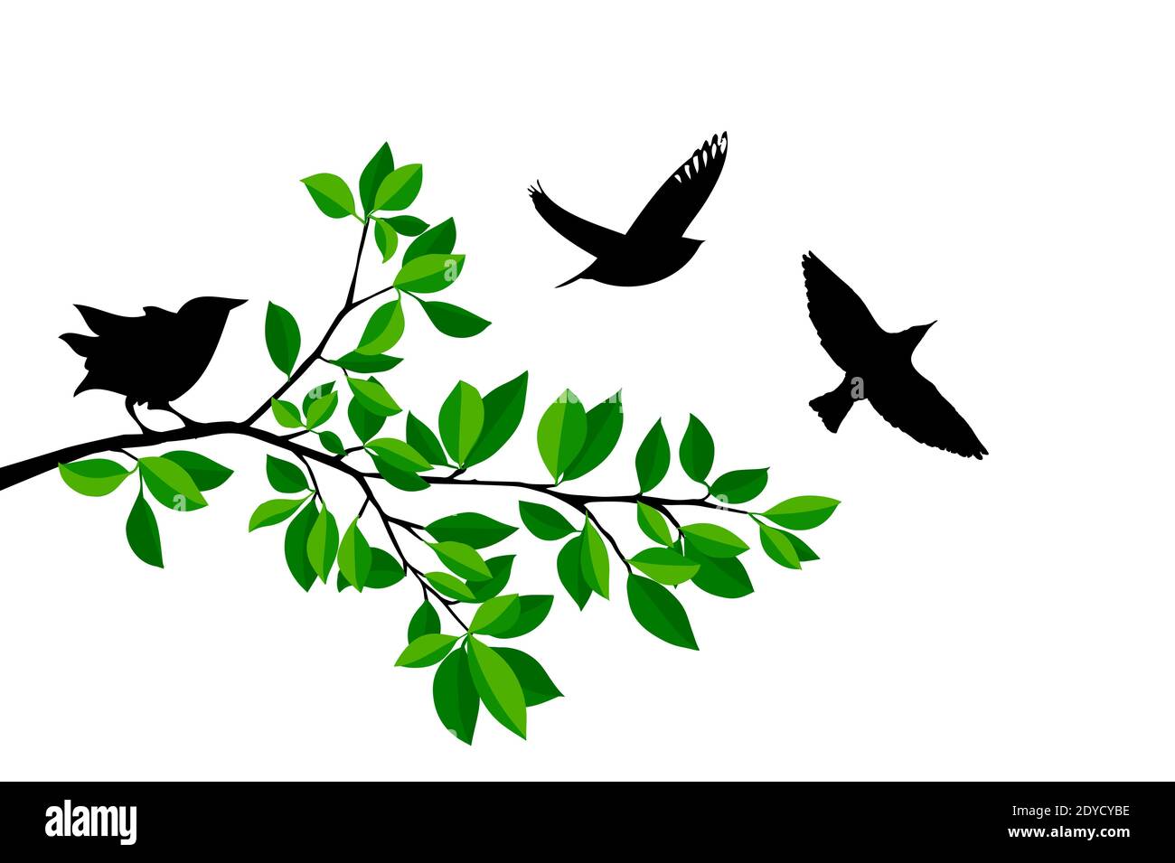 Flying birds from a tree branch. Vector illustration Stock Vector Image ...