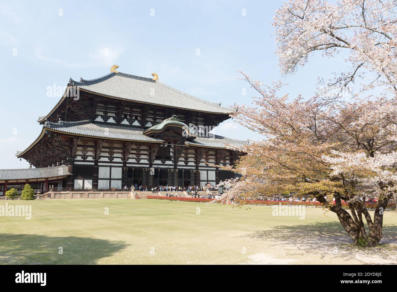 Great Buddha Hall, also known as the Daibutsuden at the Todai-ji Temple ...