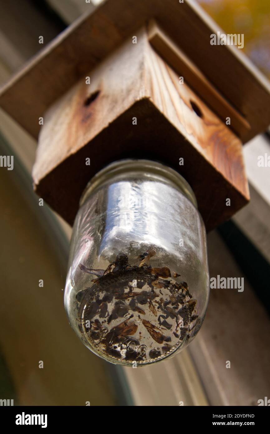 Old repurposed window hi-res stock photography and images - Alamy