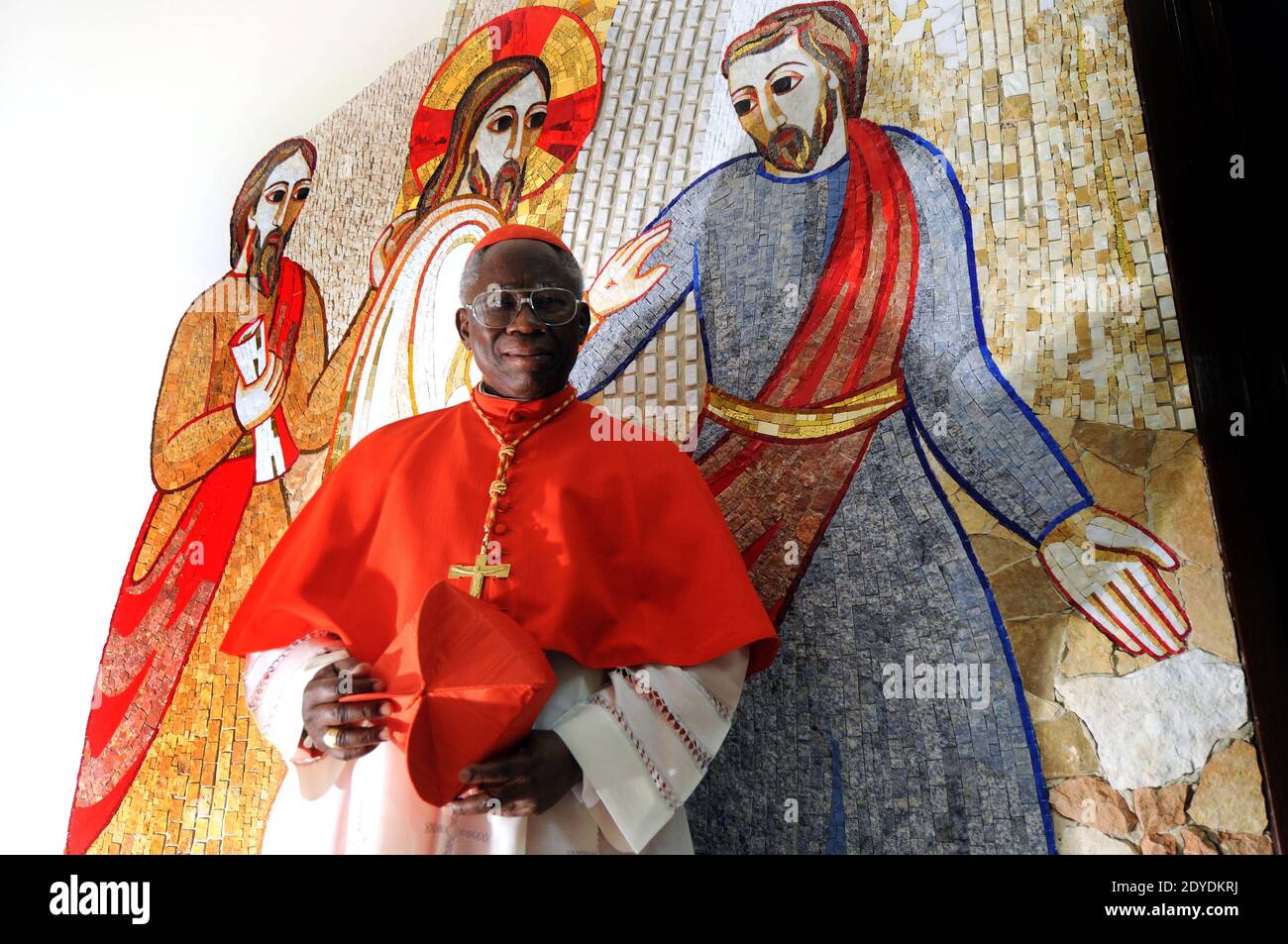 Nigerian cardinal Francis Arinze at the Vatican on November 2008. Cardinal Francis Arinze born ...
