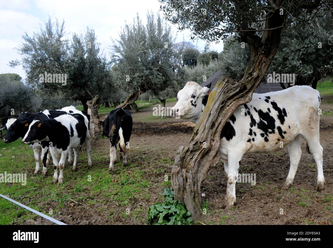 Farm successor hi-res stock photography and images - Alamy